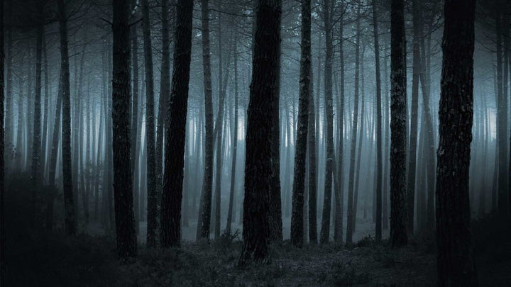 The Witching Hour (Everything You Need To Know)