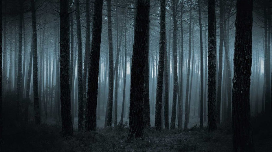 The Witching Hour (Everything You Need To Know)